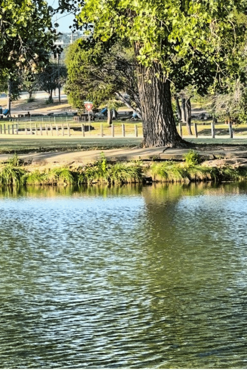 Copperas Cove Chamber of Commerce